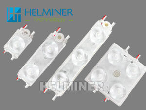 Helminer LED Technology. China LED Module | LED Strip Light ...